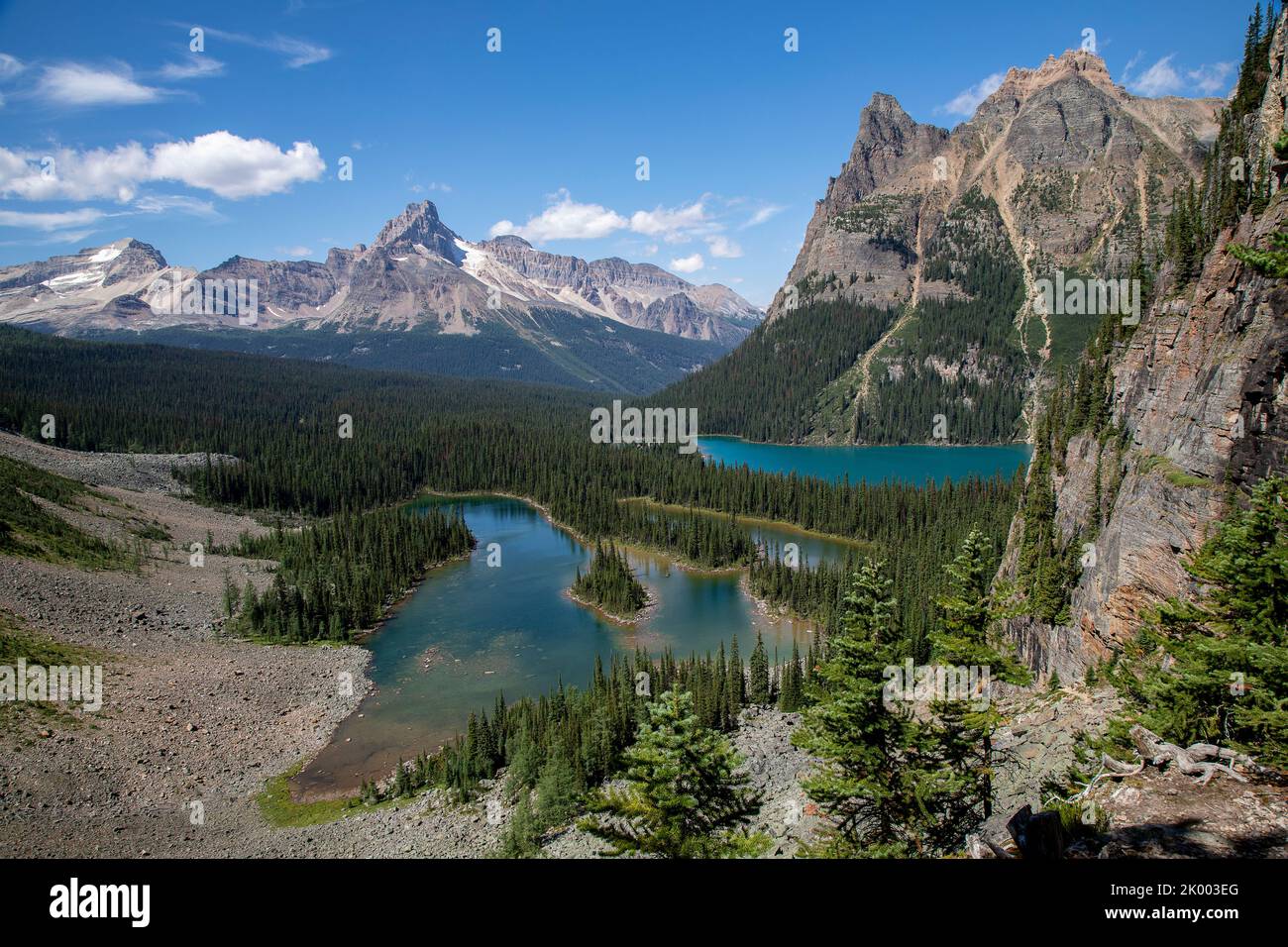 Lake O'hara area. Halfway to Opabin prospekt, Wiwaxy peak is seen on ...