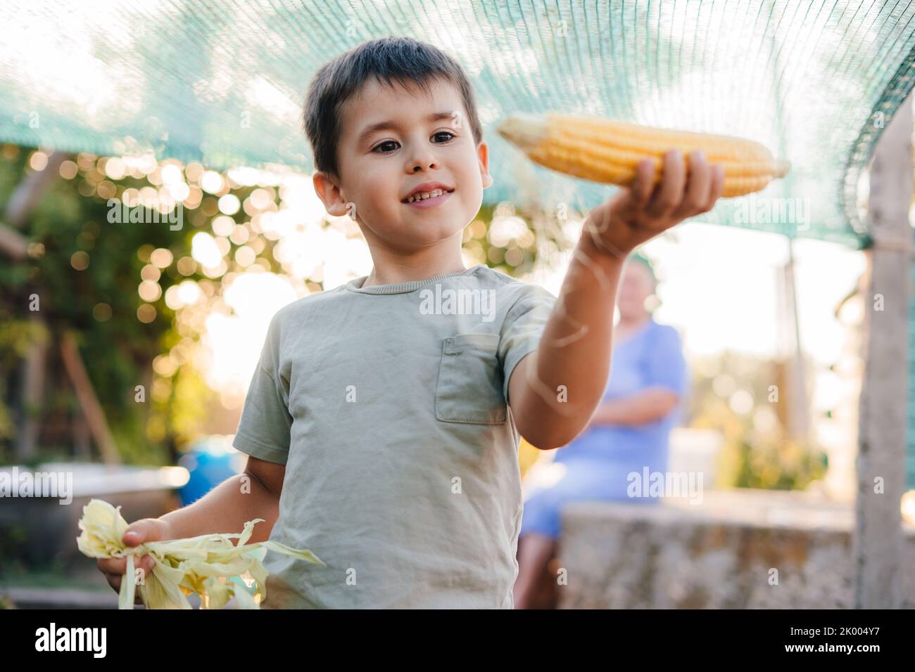 Happy preschool kid boy admiring the recently picked corn cob from his ...