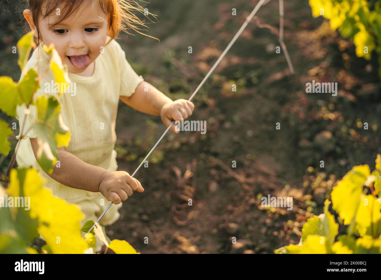 Adorable little baby girl making facial grimaces while posing among the ...