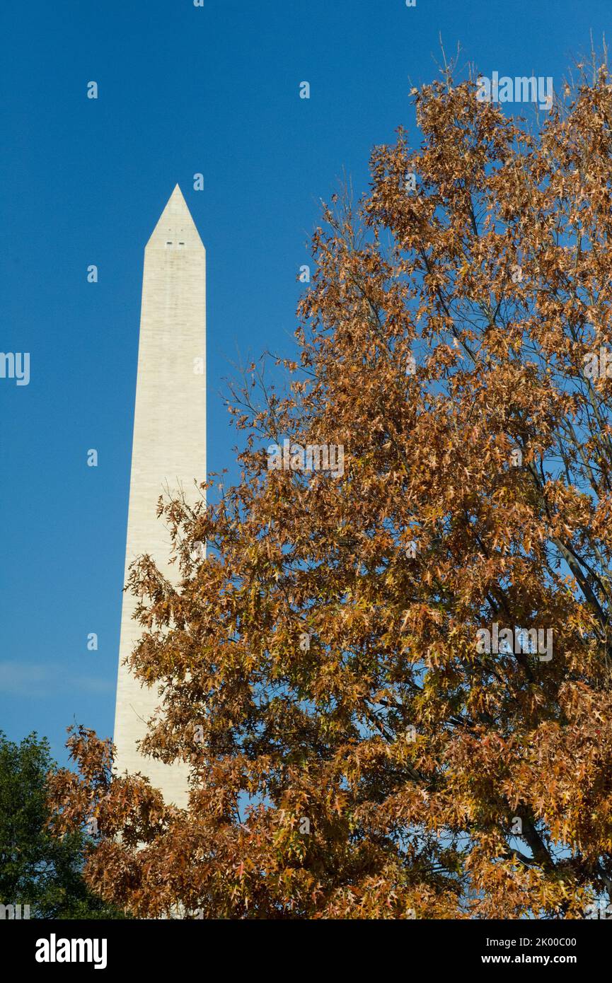 Scenic views, Washington, D.C. : Buildings, monuments, streets, nature ...