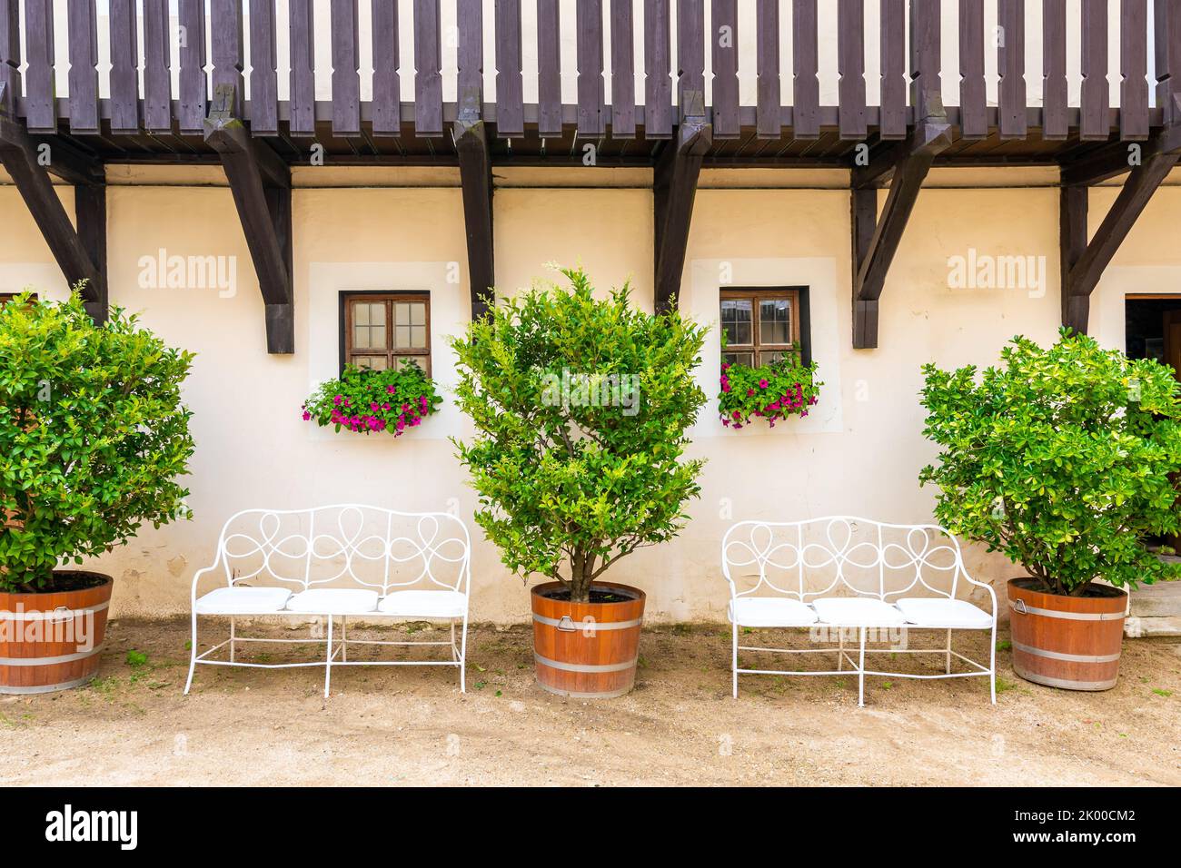 Bench under the window with flower. Big bushes next to the bench with ...