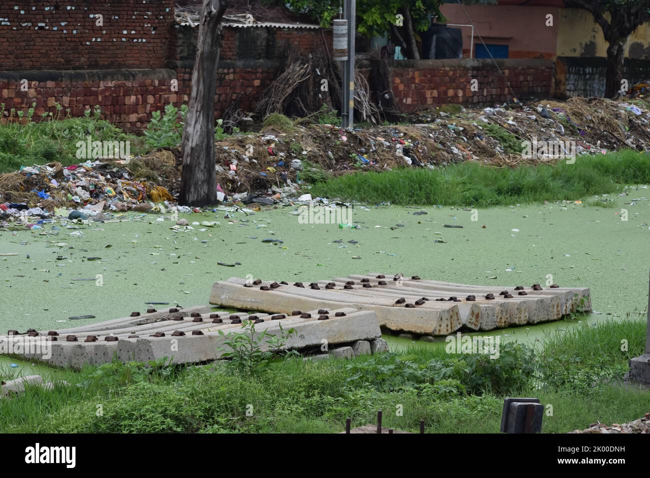 Full of waste hi-res stock photography and images - Alamy