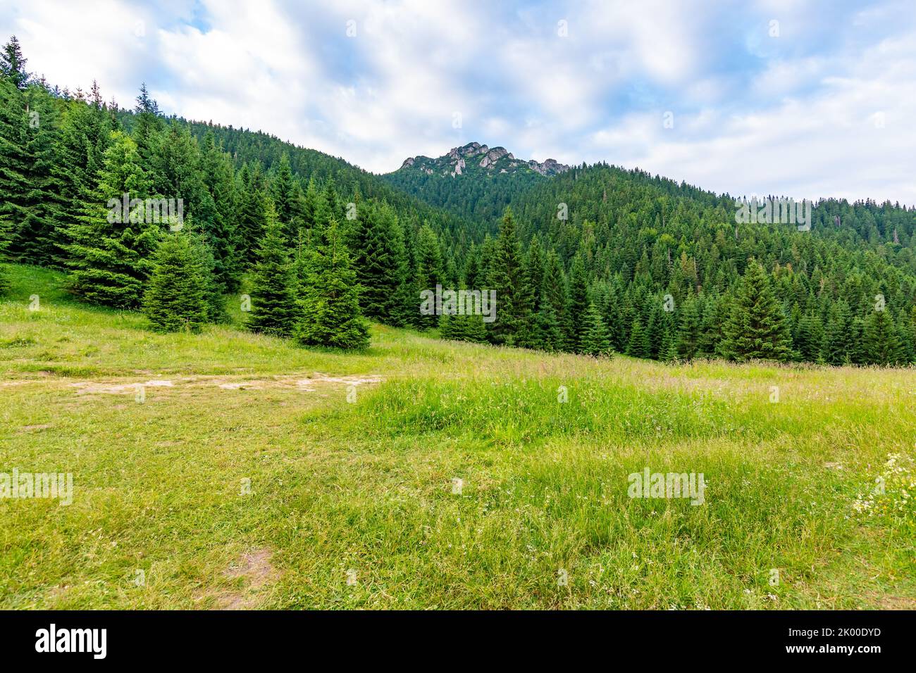 Maly Rozsutec mountain in the Mala Fatra Slovakia national park ...