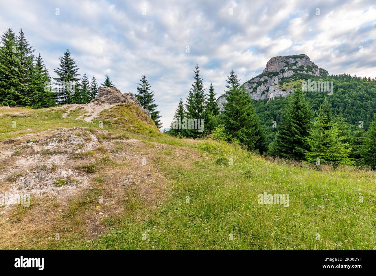 Maly Rozsutec mountain in the Mala Fatra Slovakia national park ...