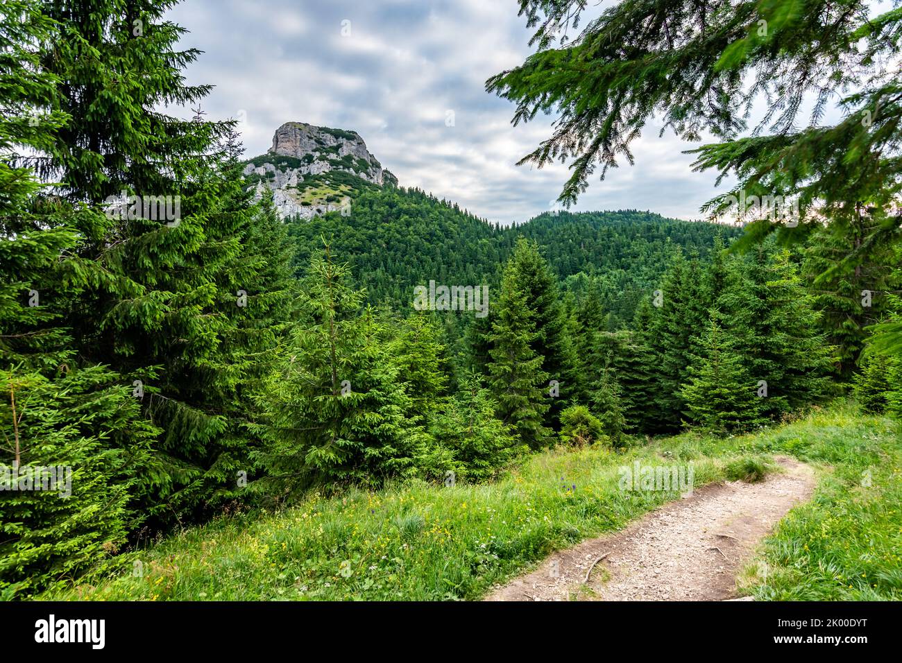 Maly Rozsutec mountain in the Mala Fatra Slovakia national park ...