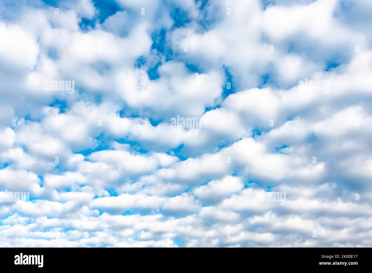 Dramatic cloud texture. White clouds placed on blue sky background ...