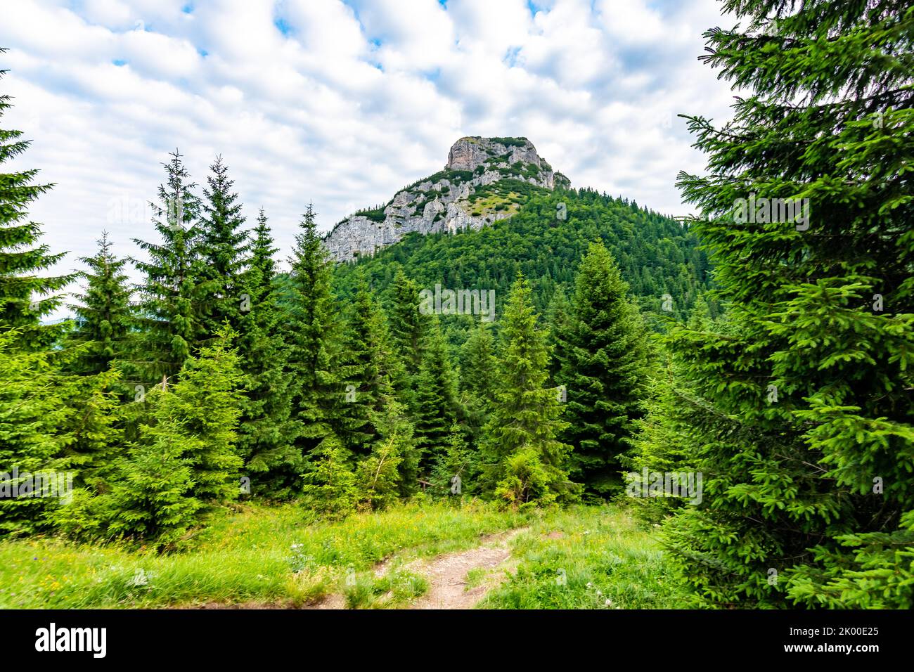 Maly Rozsutec mountain in the Mala Fatra Slovakia national park ...