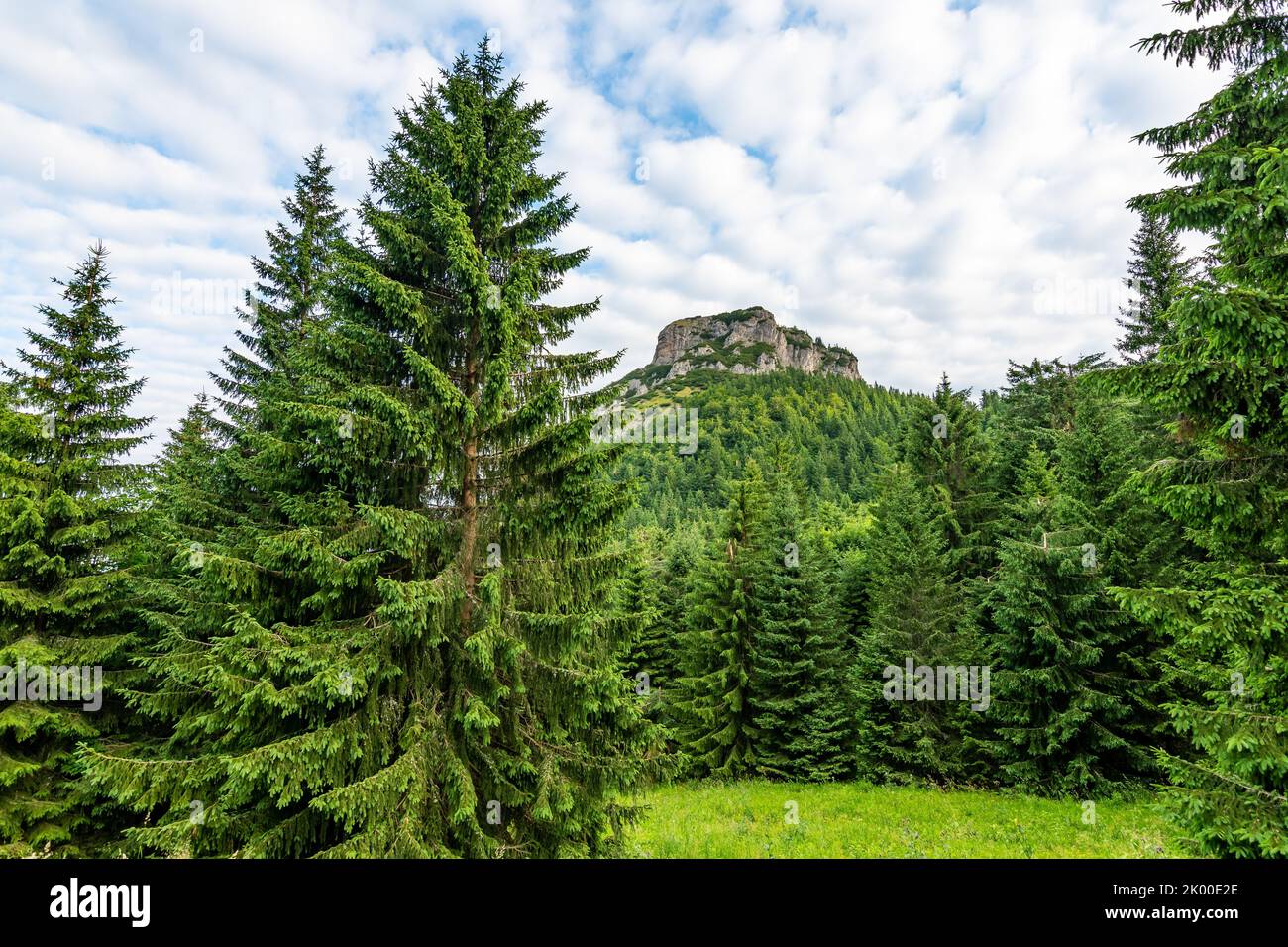 Maly Rozsutec mountain in the Mala Fatra Slovakia national park ...