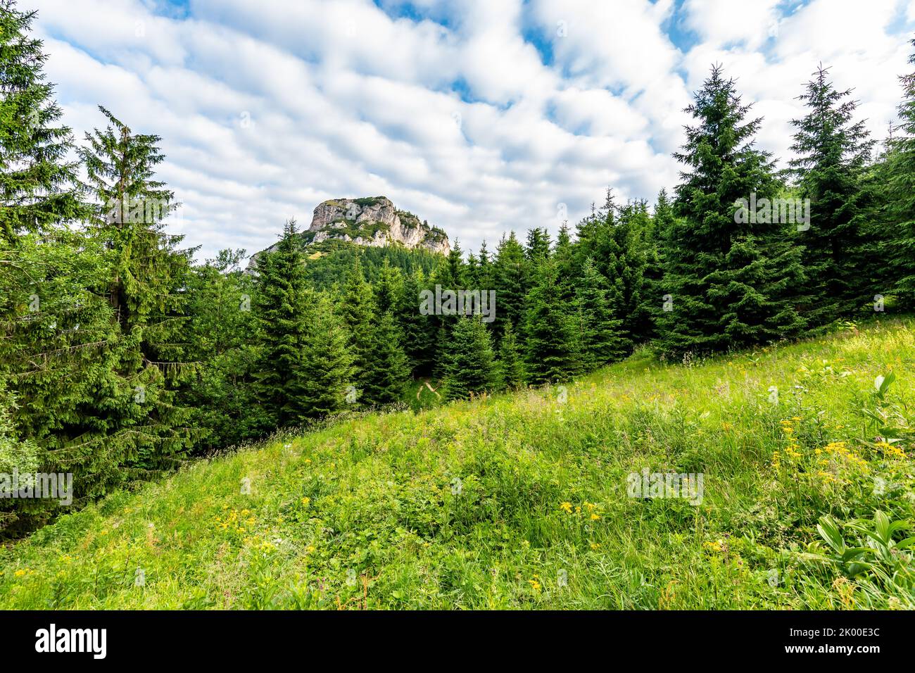 Maly Rozsutec mountain in the Mala Fatra Slovakia national park ...