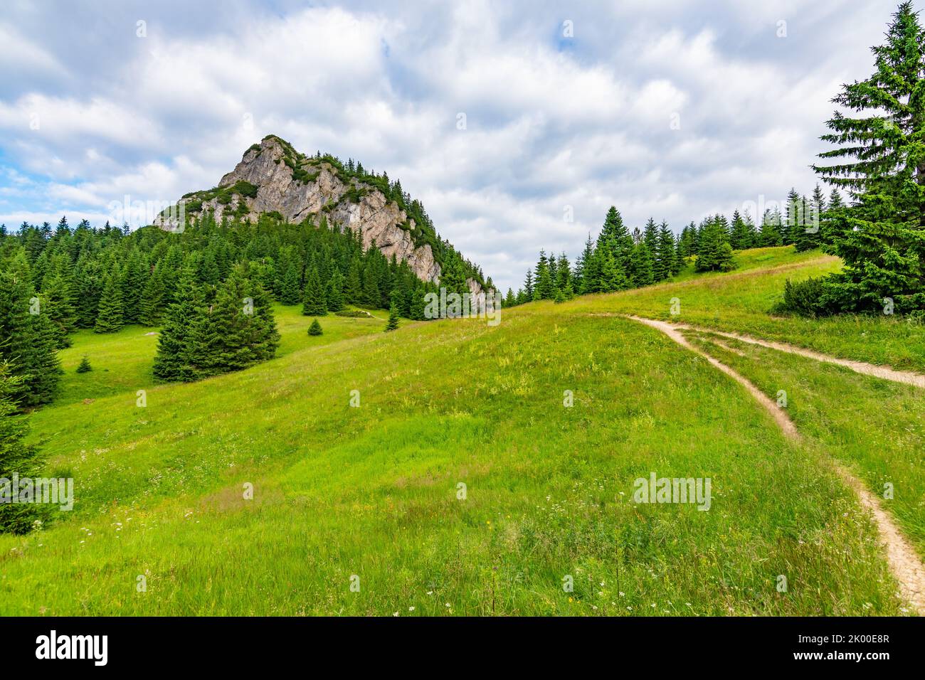 Maly Rozsutec mountain in the Mala Fatra Slovakia national park ...
