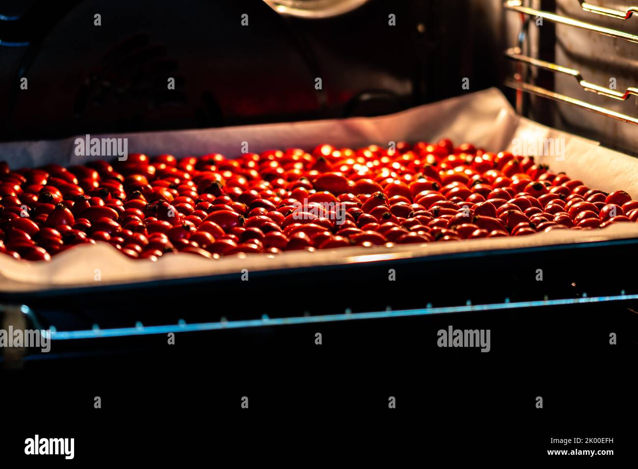 Rose hips (latin name Fructus cynosbati) are drying in oven. Dried rose ...