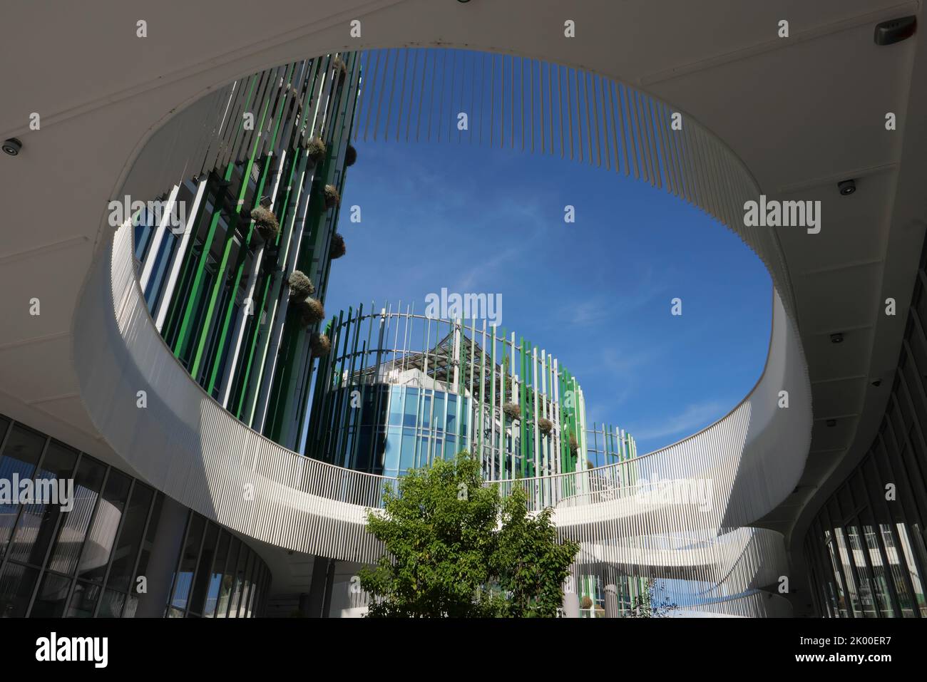 Roma tre university hi-res stock photography and images - Alamy