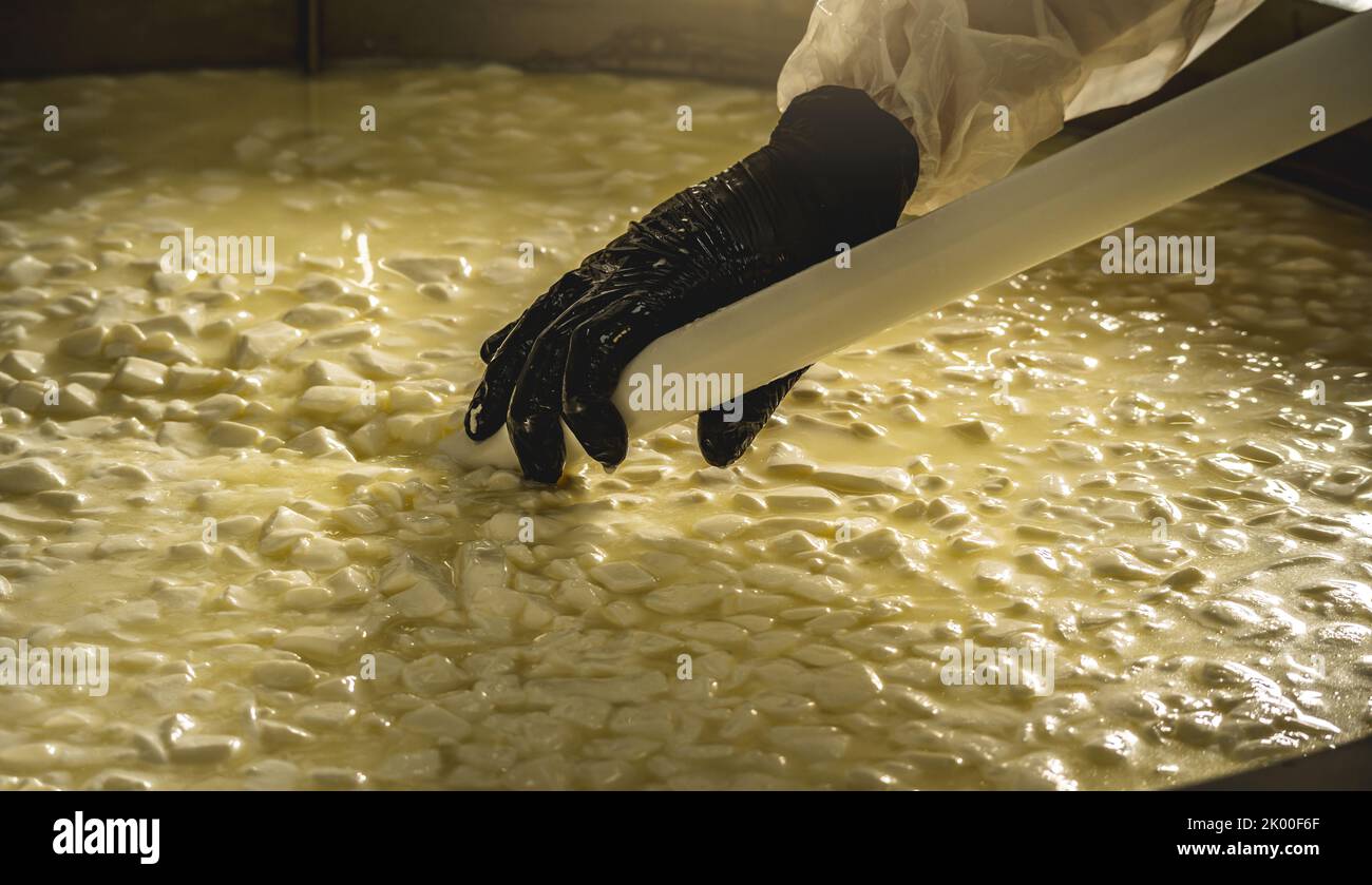 The process of producing different varieties of cheese in industry ...