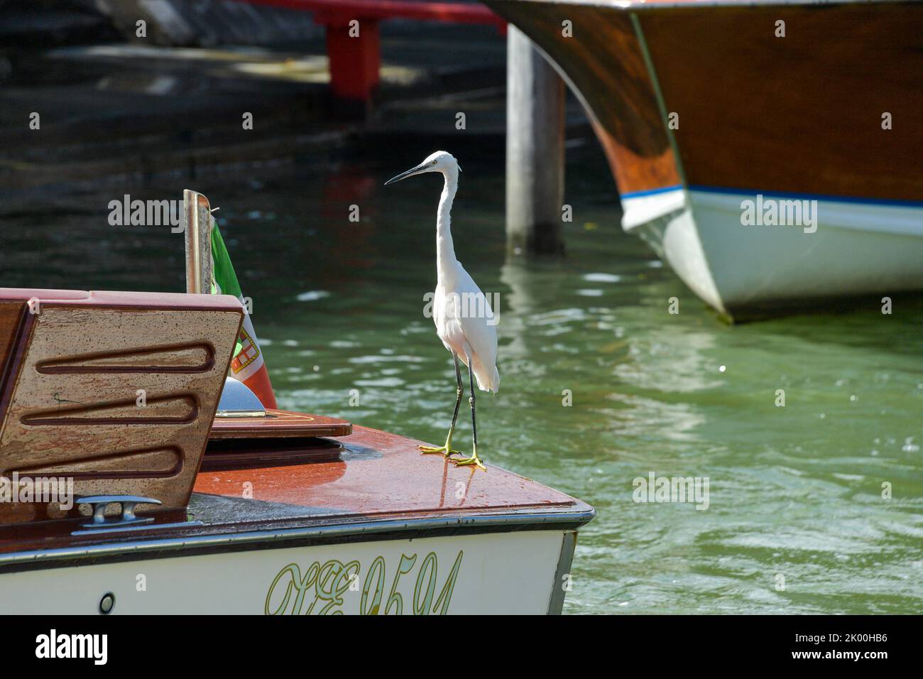 79th Venice Film Festival People at Lido Venice, Italy 8th September ...