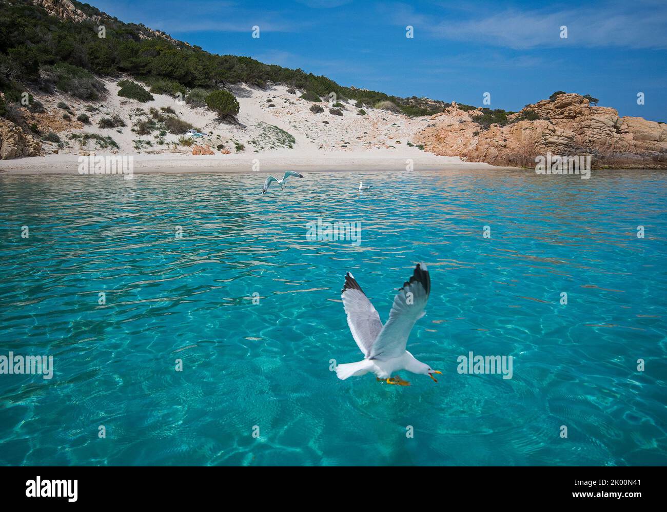 Spargi, Parco Nazionale Arcipelago di La Maddalena Stock Photo - Alamy