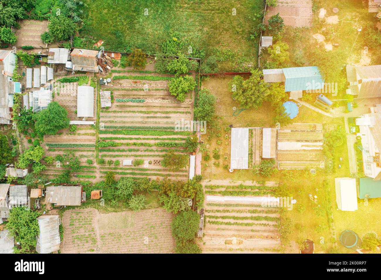 Home Plantations At Summer Day. Close-up Aerial View On Houses Of Small ...