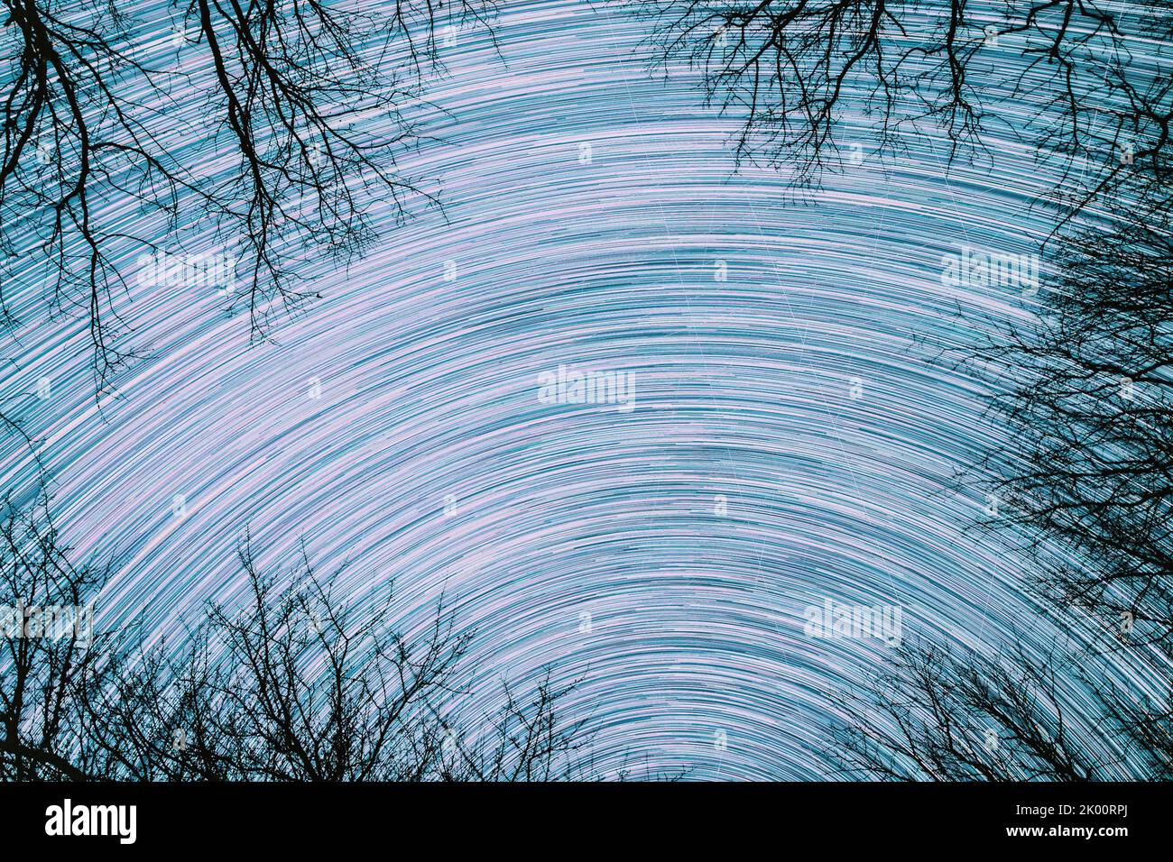 Abstract Star Lines Move In Sky.spin Trails Of Stars Above Tree Crowns ...