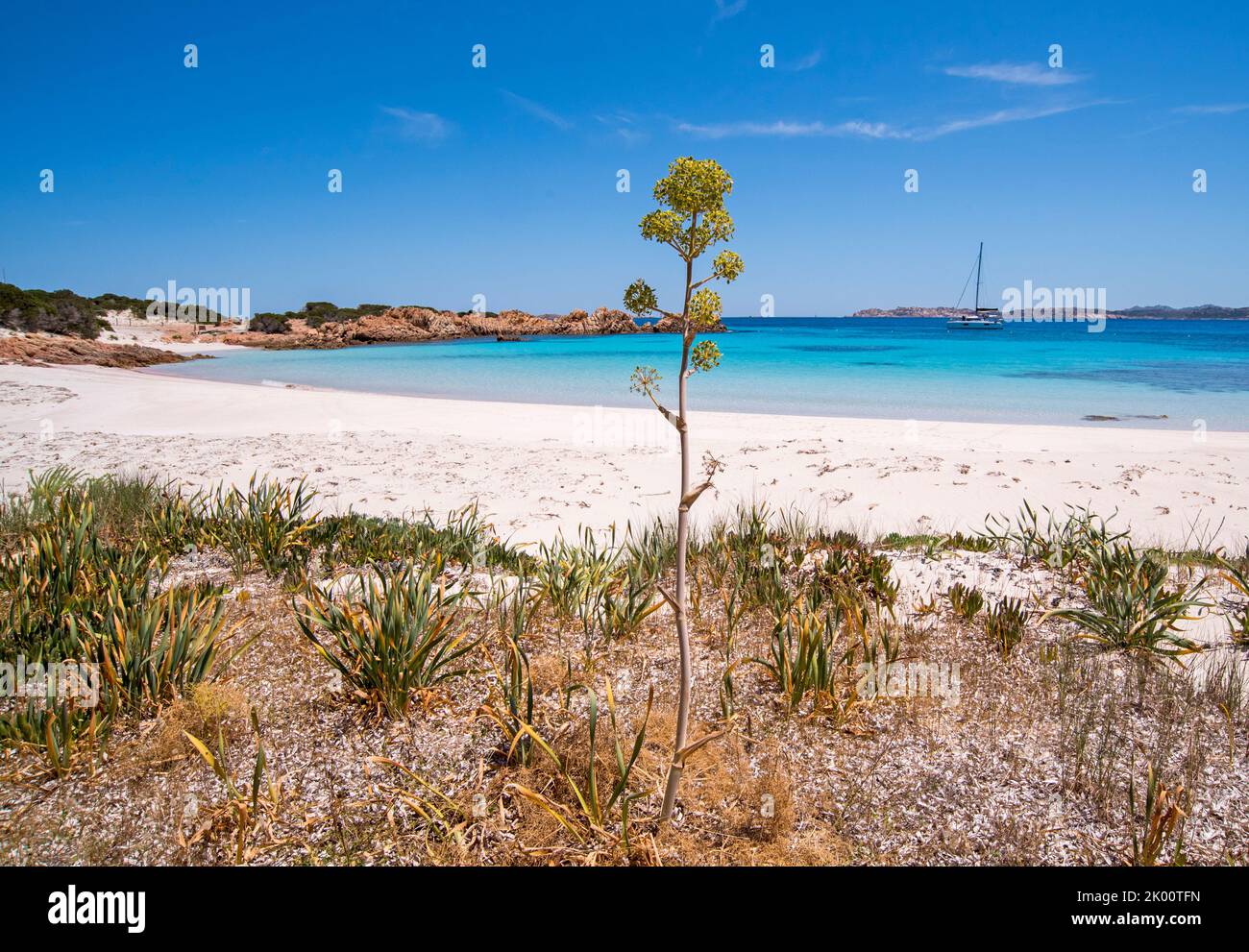 Arrigoni hi-res stock photography and images - Alamy