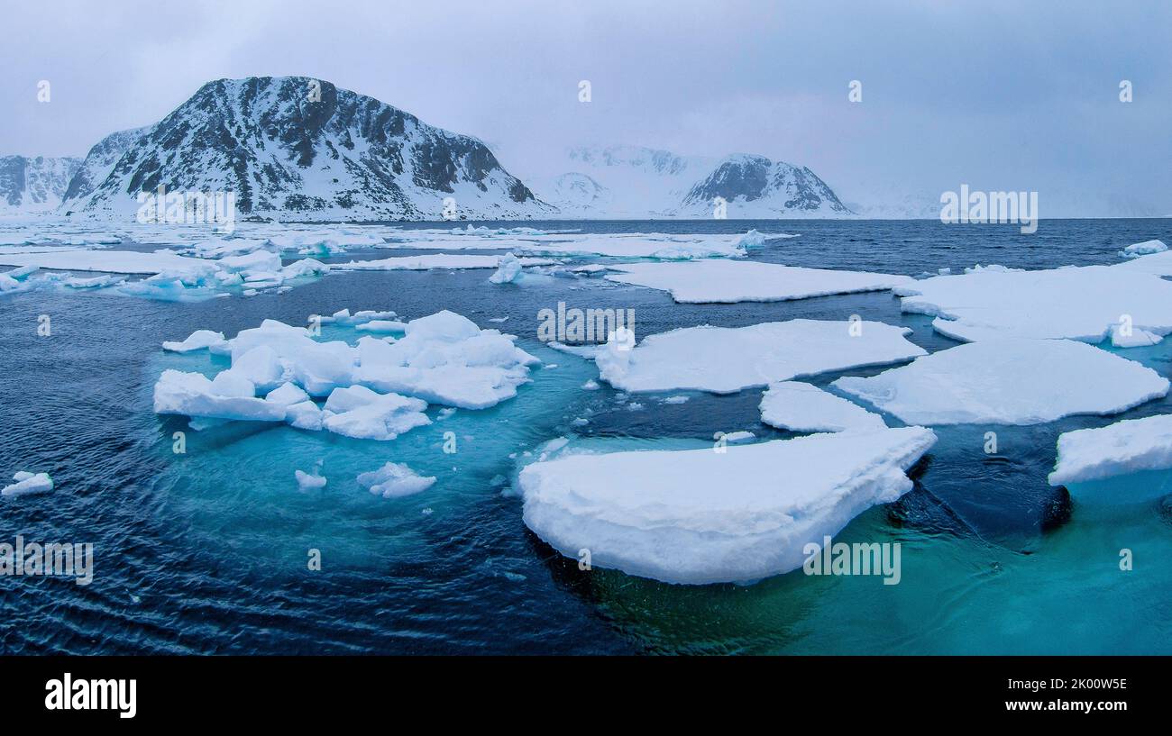 Drift floating Ice and Snowcapped Mountains, Albert I Land, Arctic ...