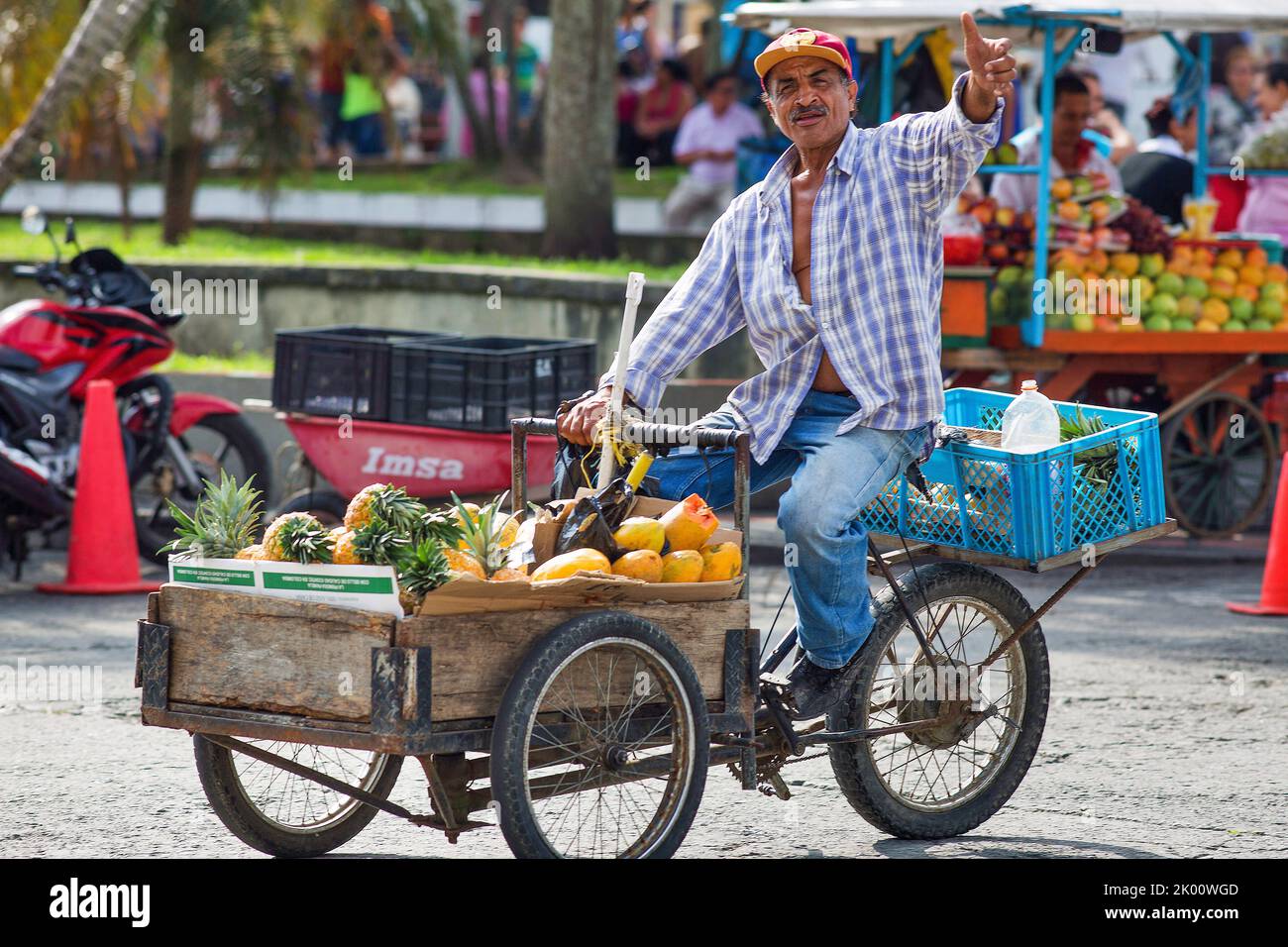 Colombia, Zona Cafetera,seller of pineapples and papaya's in Circasia ...