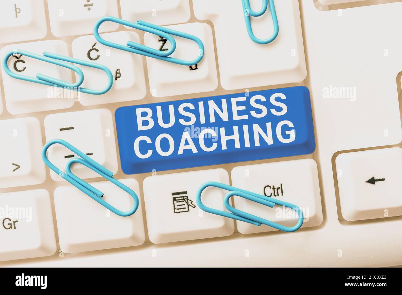 Text showing inspiration Business CoachingHelping employees become more active Consulting an ...