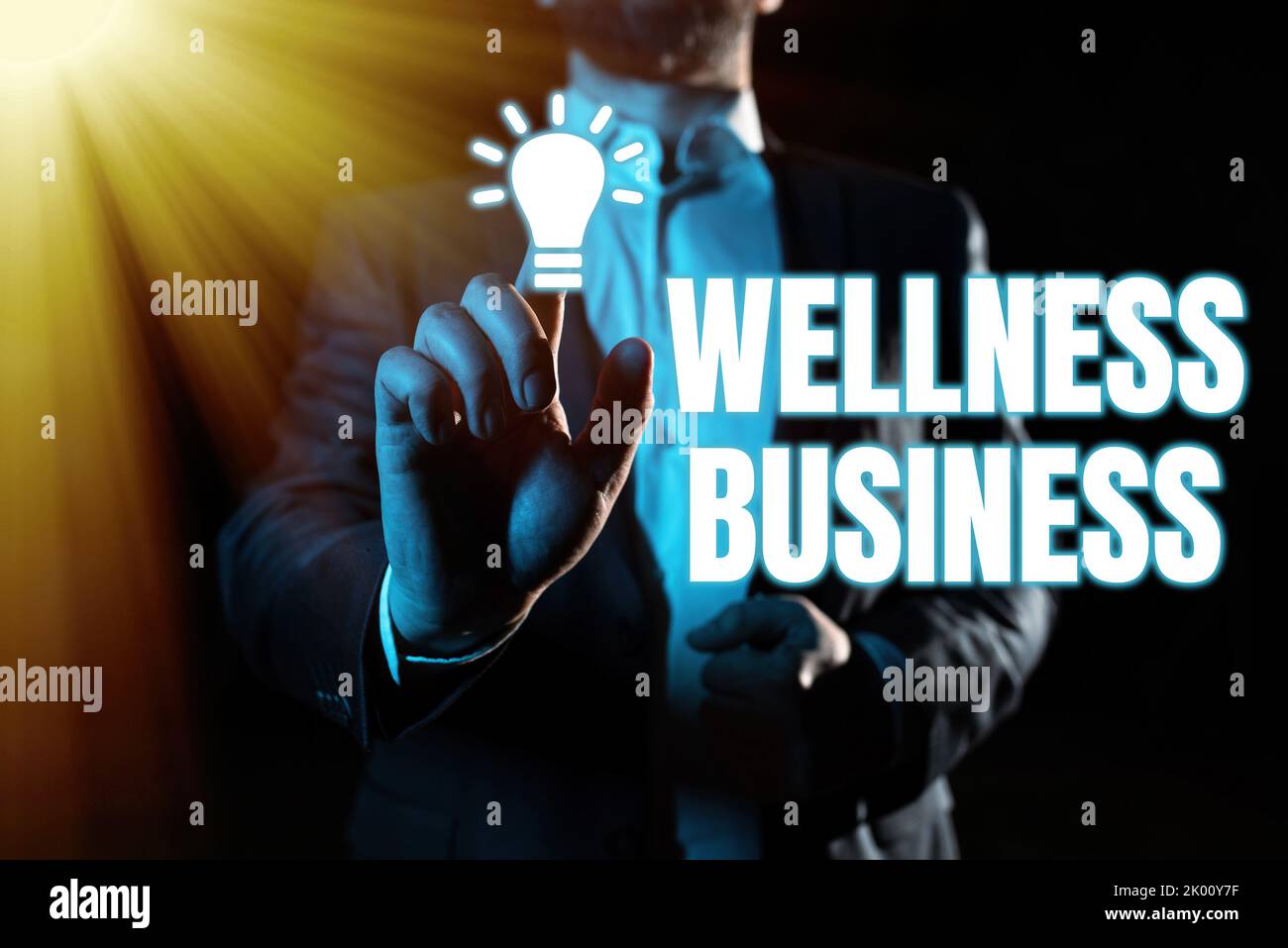 Text sign showing Wellness BusinessProfessional venture focusing the ...