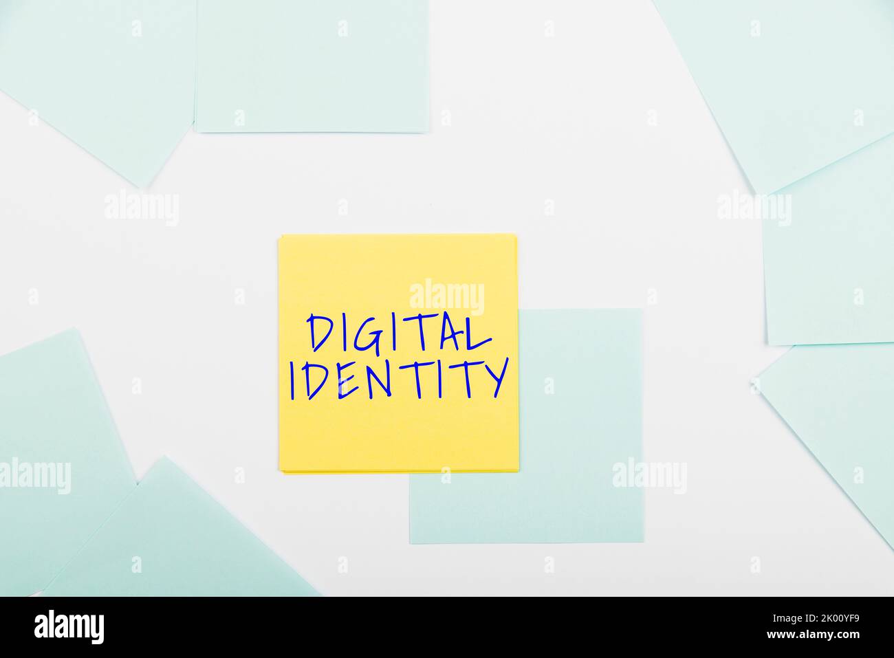 Text caption presenting Digital Identityinformation on entity used by ...