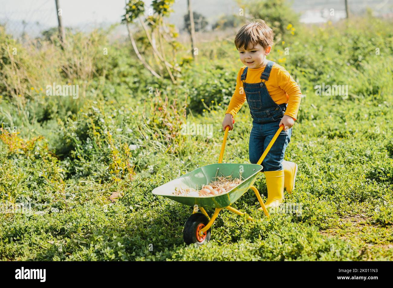 Cute kid rolling wheelbarrow while working on farm Stock Photo - Alamy