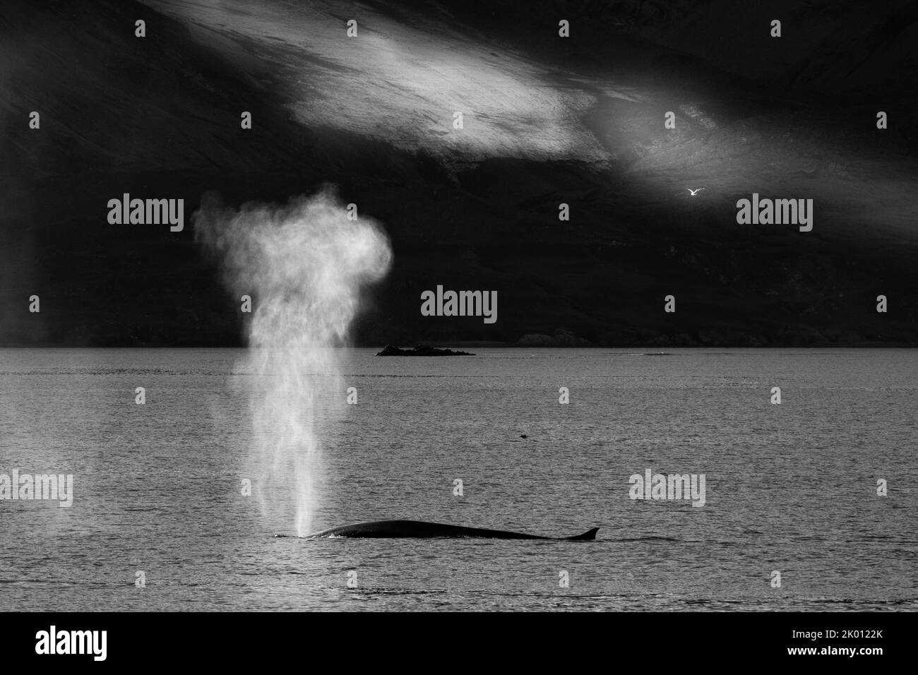 Cold north sea in Black and White Stock Photos & Images - Alamy