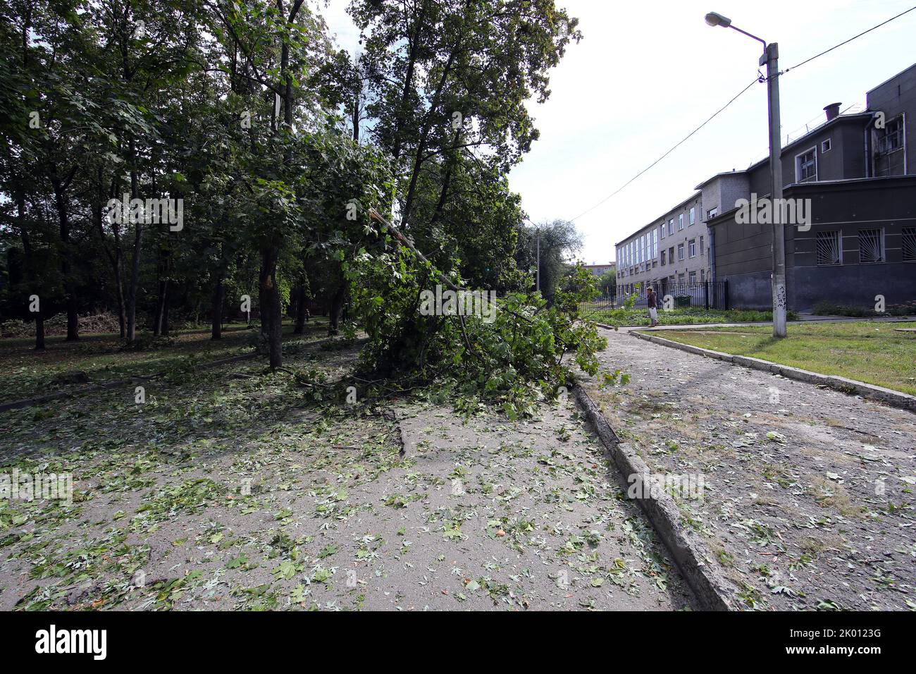 KHARKIV, UKRAINE - SEPTEMBER 08, 2022 - A broken tree is seen as a ...