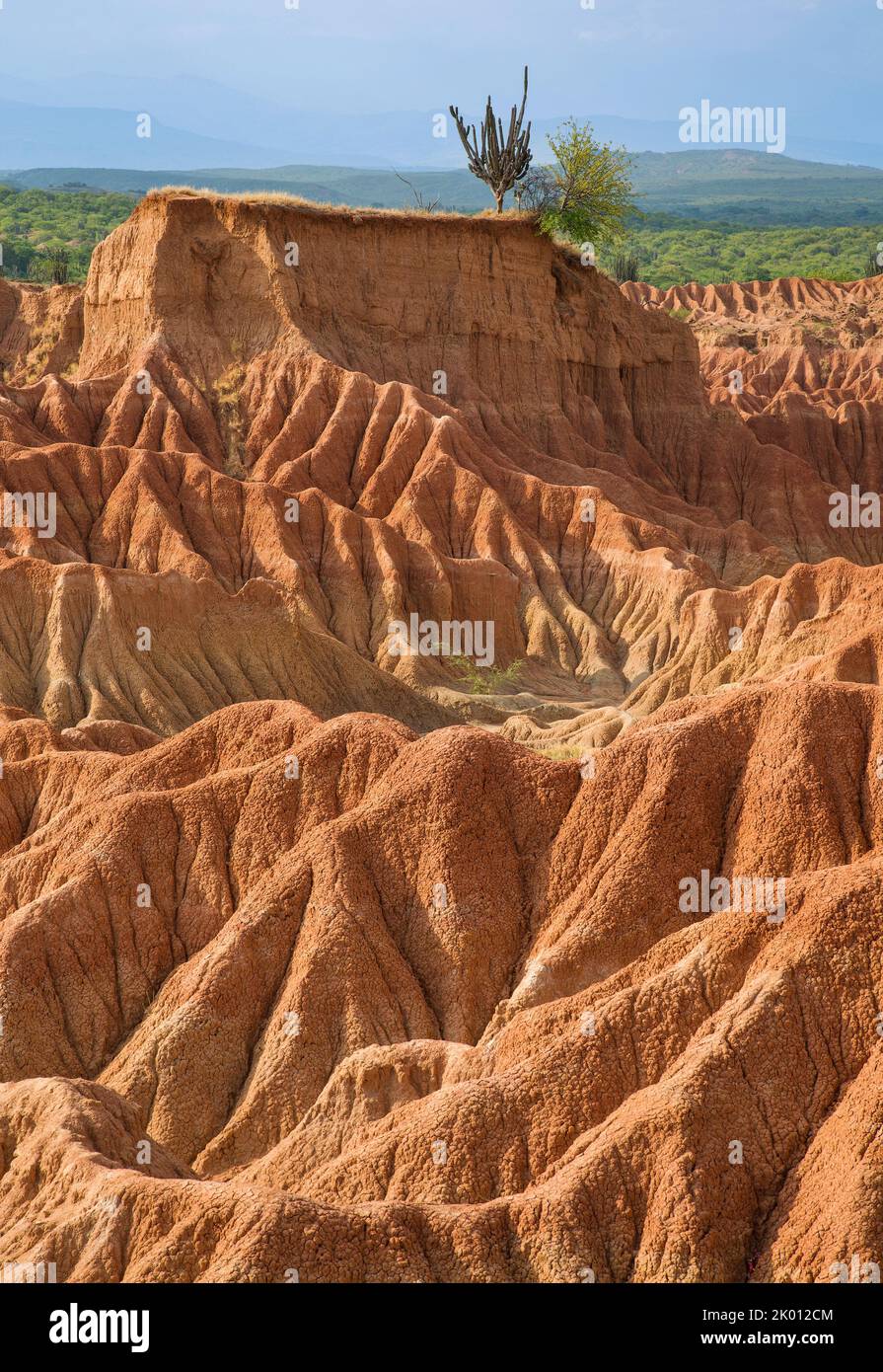 Colombia, Villavieja near Neiva, the desert of Tatacoa. Photo: this ...