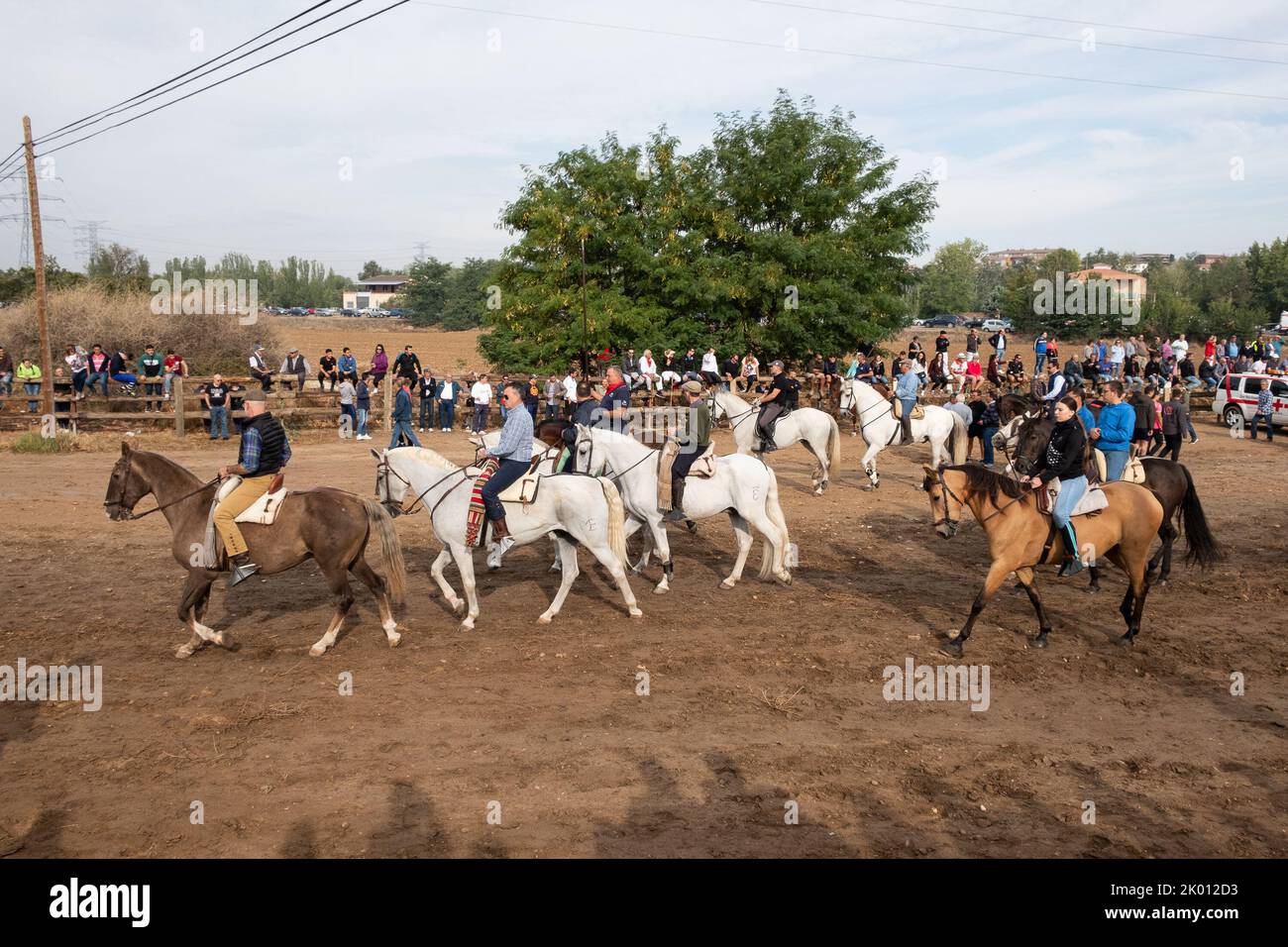 People on horseback at the Toro de la Vega Tournament in Tordesillas ...