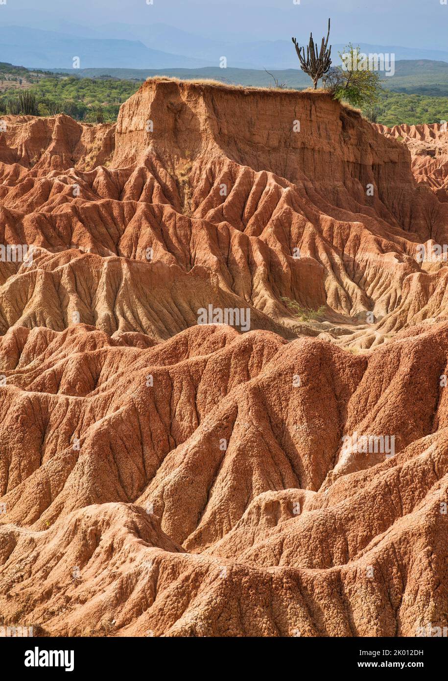 Colombia, Villavieja near Neiva, the desert of Tatacoa. Photo: this ...
