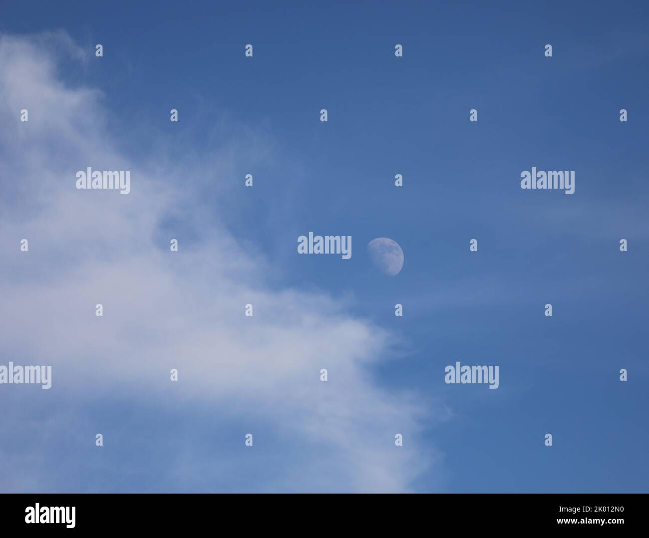 white moon just risen and barely visible during the day in the blue sky ...