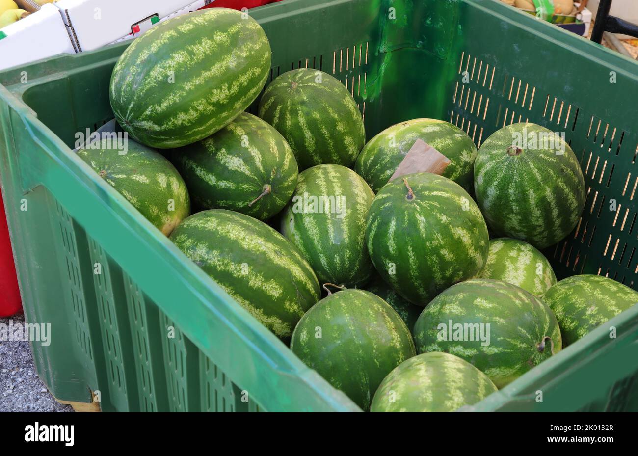 large crate of huge watermelons for sale in the vegetable market in ...