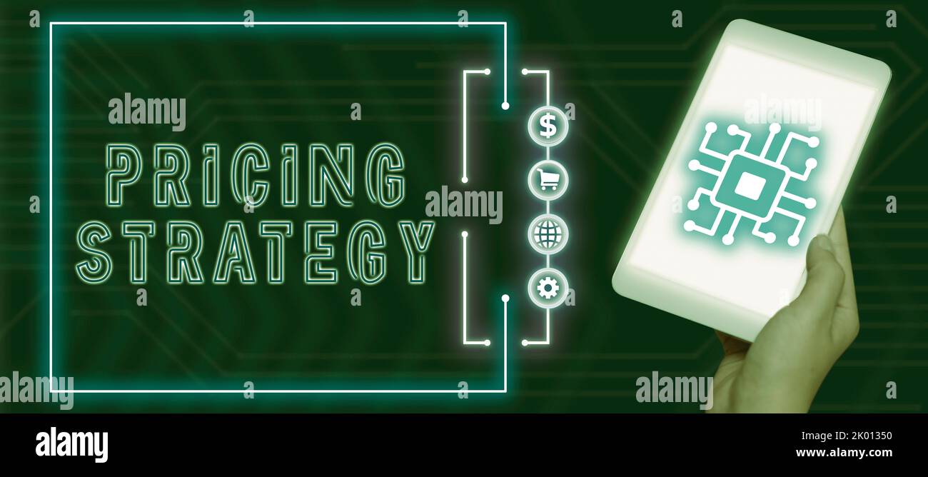 Text caption presenting Pricing Strategyset maximize profitability for ...