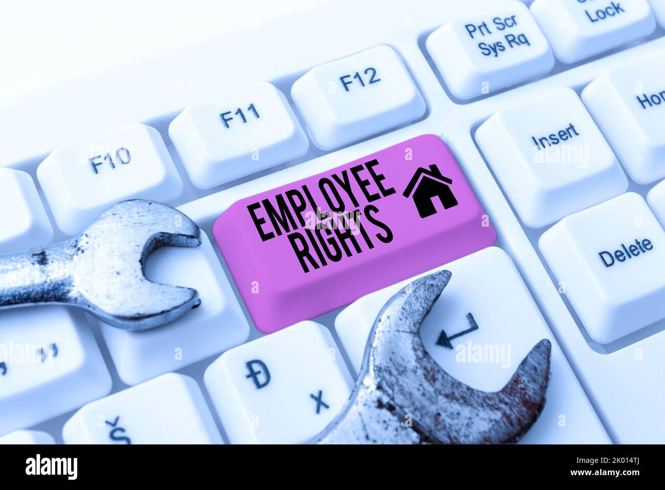 Conceptual display Employee RightsAll employees have basic rights in ...