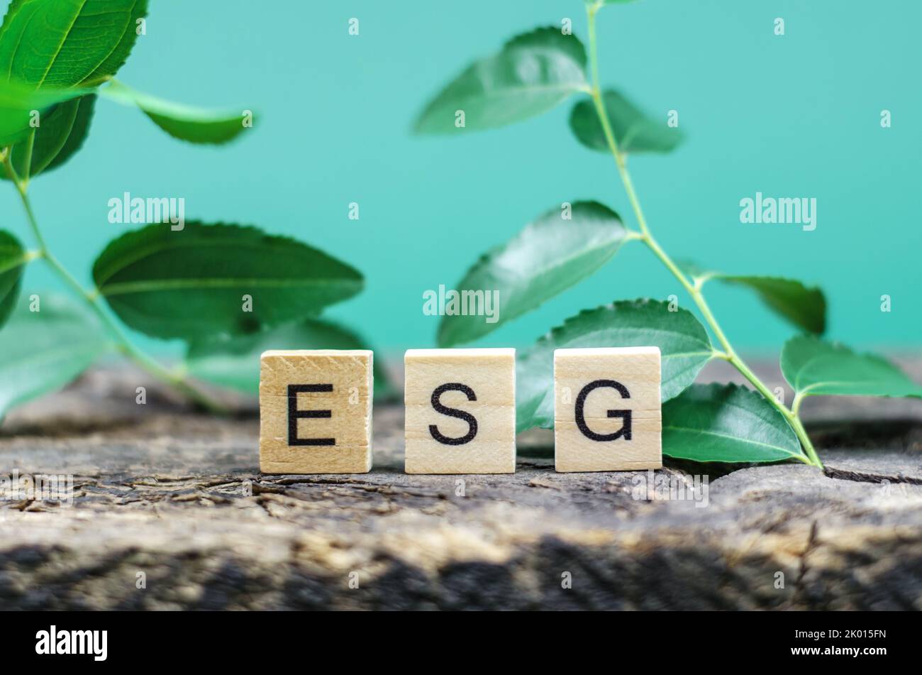 ESG abbreviation on wooden cubes against the background of green leaves ...