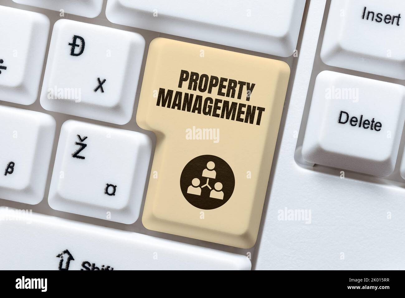Text caption presenting Property Management. Business overview ...