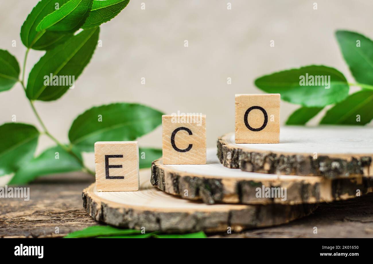 The word ECO on wooden cubes on a background of green leaves. Word ECO ...