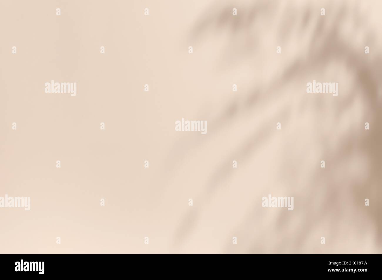 Shadow of delicate grass leaves on solid beige wall texture background ...