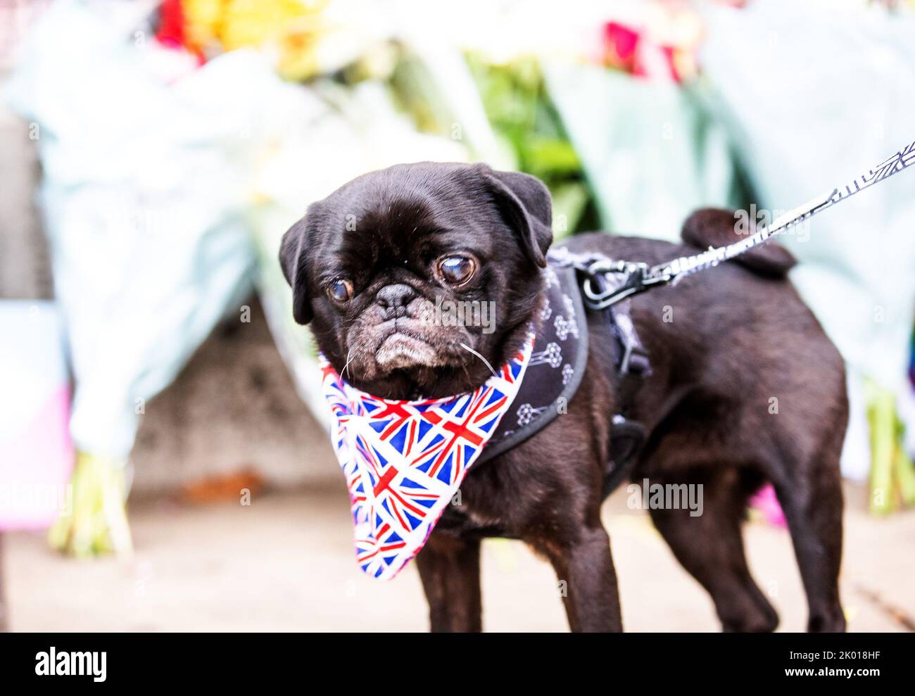 Death of queen elizabeth ii day 1 hi-res stock photography and images ...