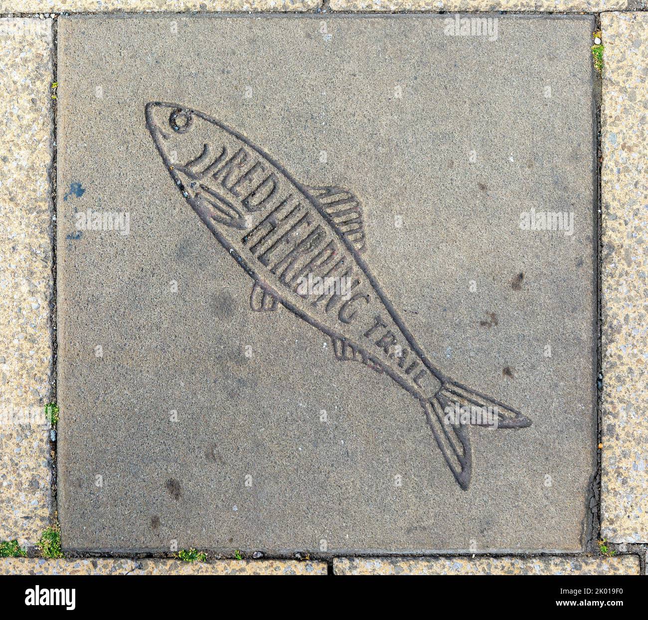 Red Herring Reference