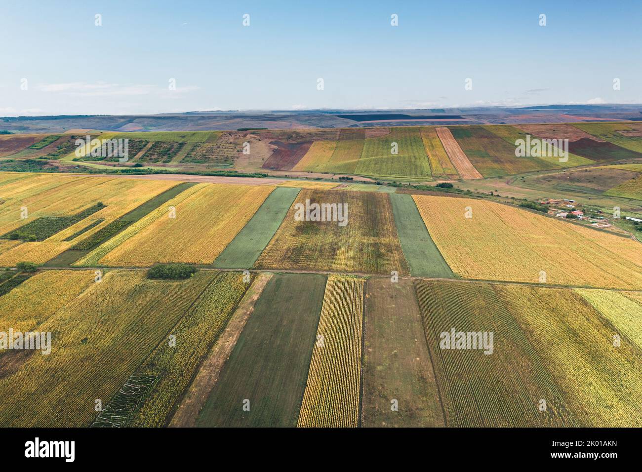 Aerial rural landscape with yellow patched agriculture fields and blue ...