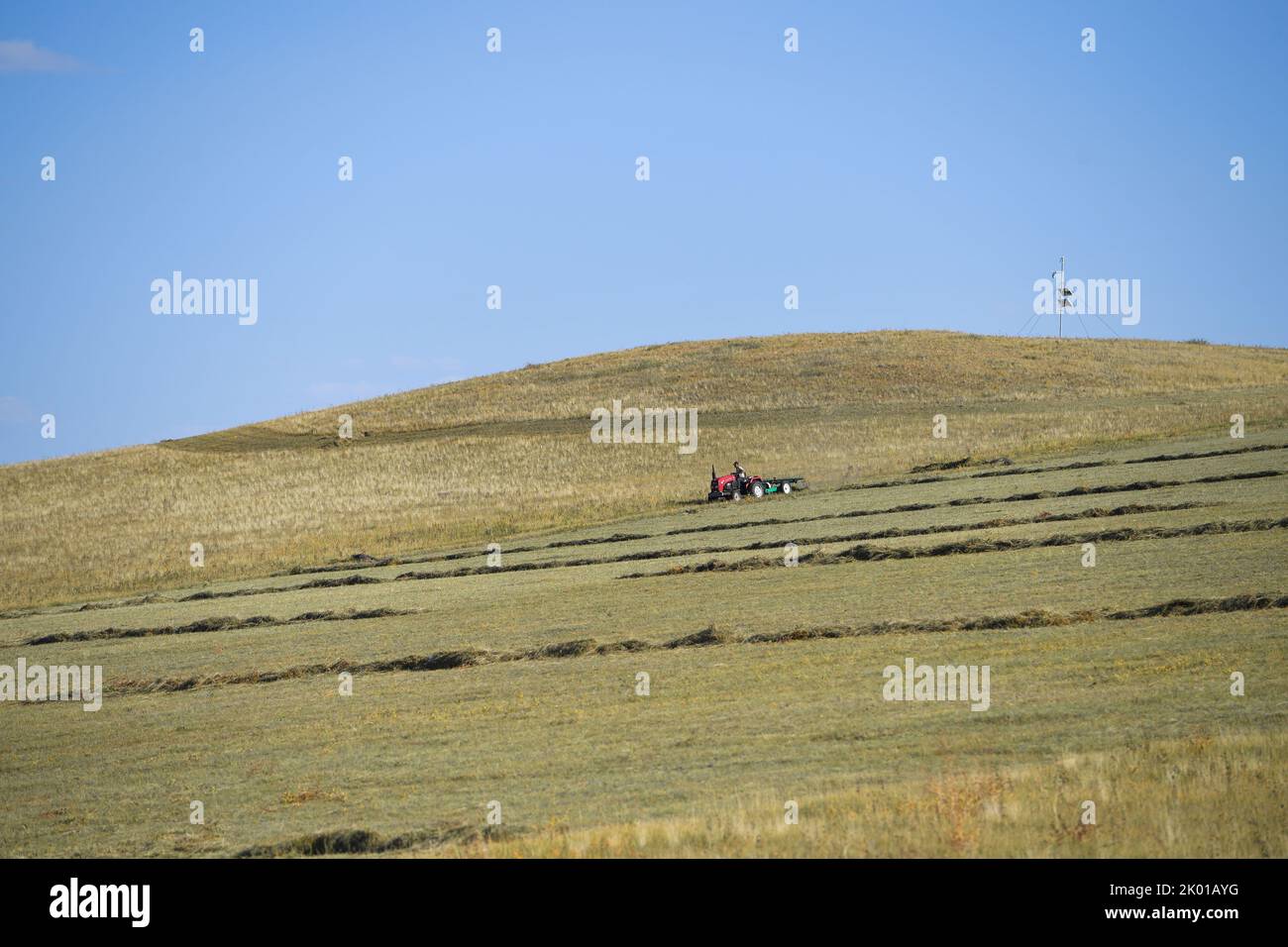 Mowing banner hi-res stock photography and images - Alamy