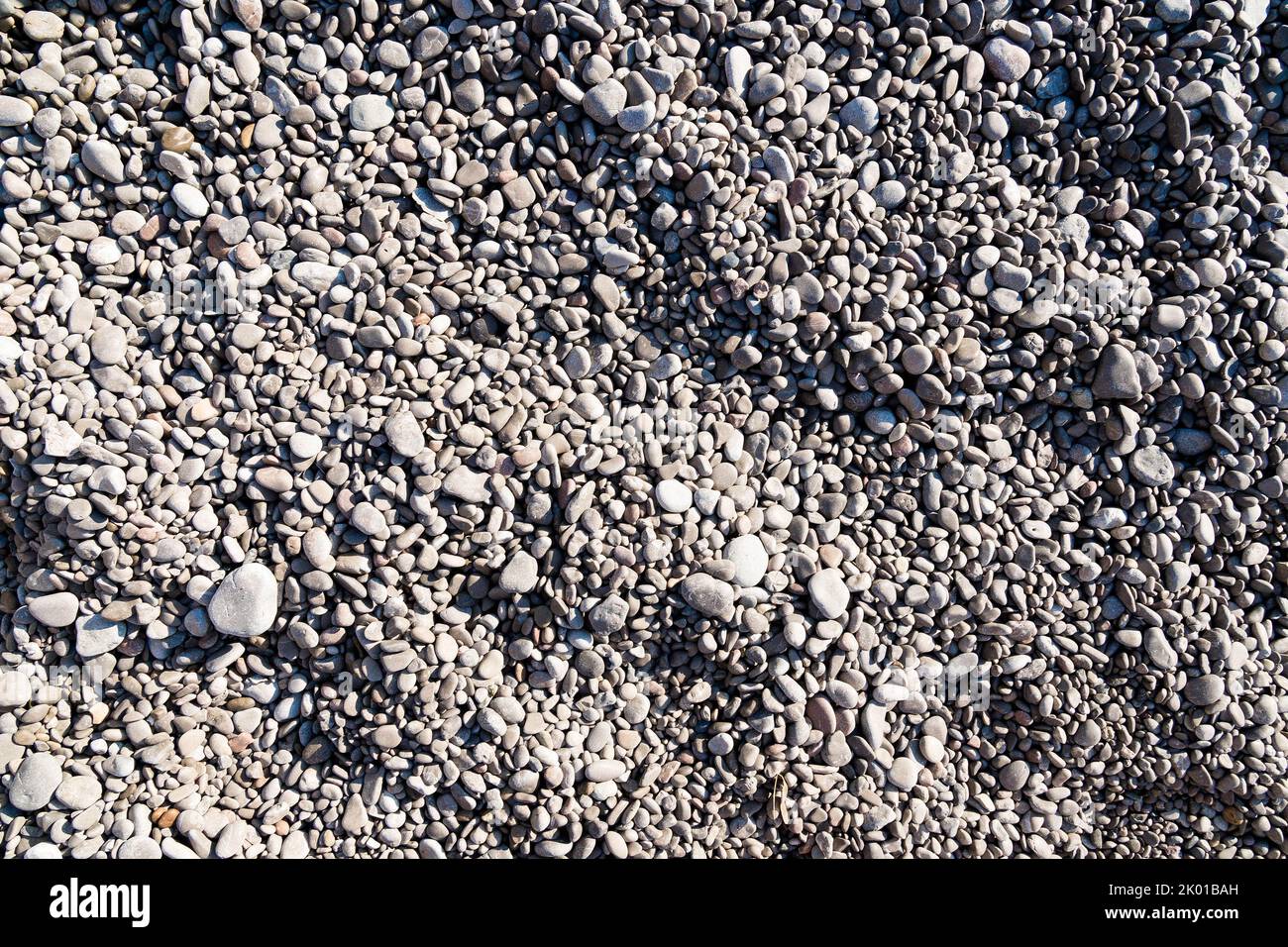 Large coarse wet sea sand consisting of fragments and debris sea shells ...