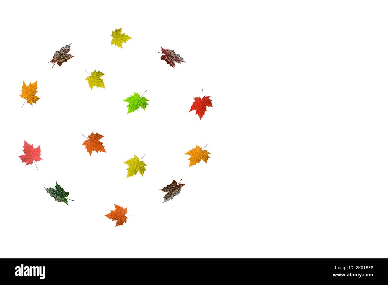 circle ball of dried maple leaves Stock Photo - Alamy