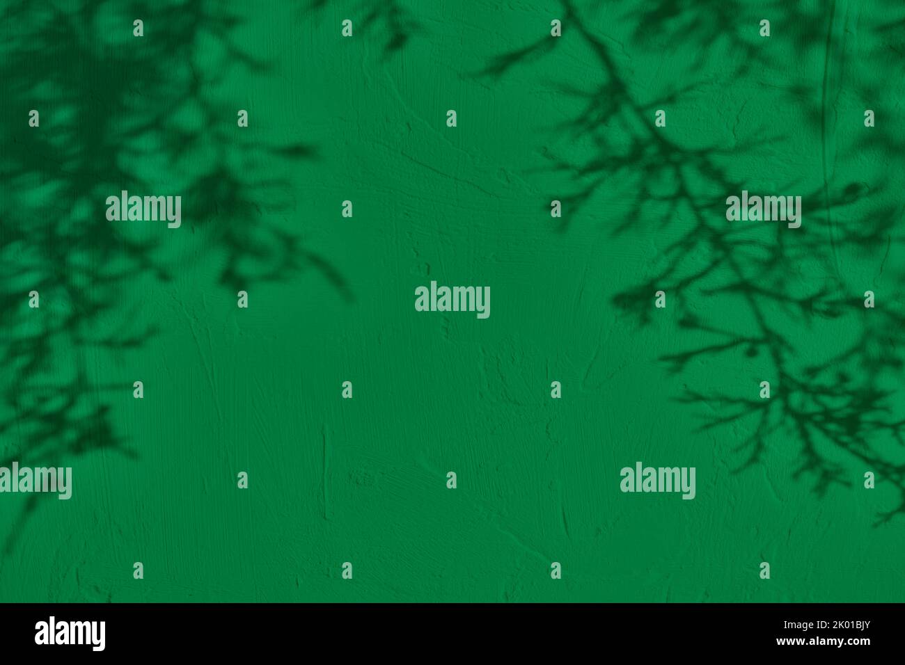 Fir tree shadows on dark green concrete wall texture background Stock ...