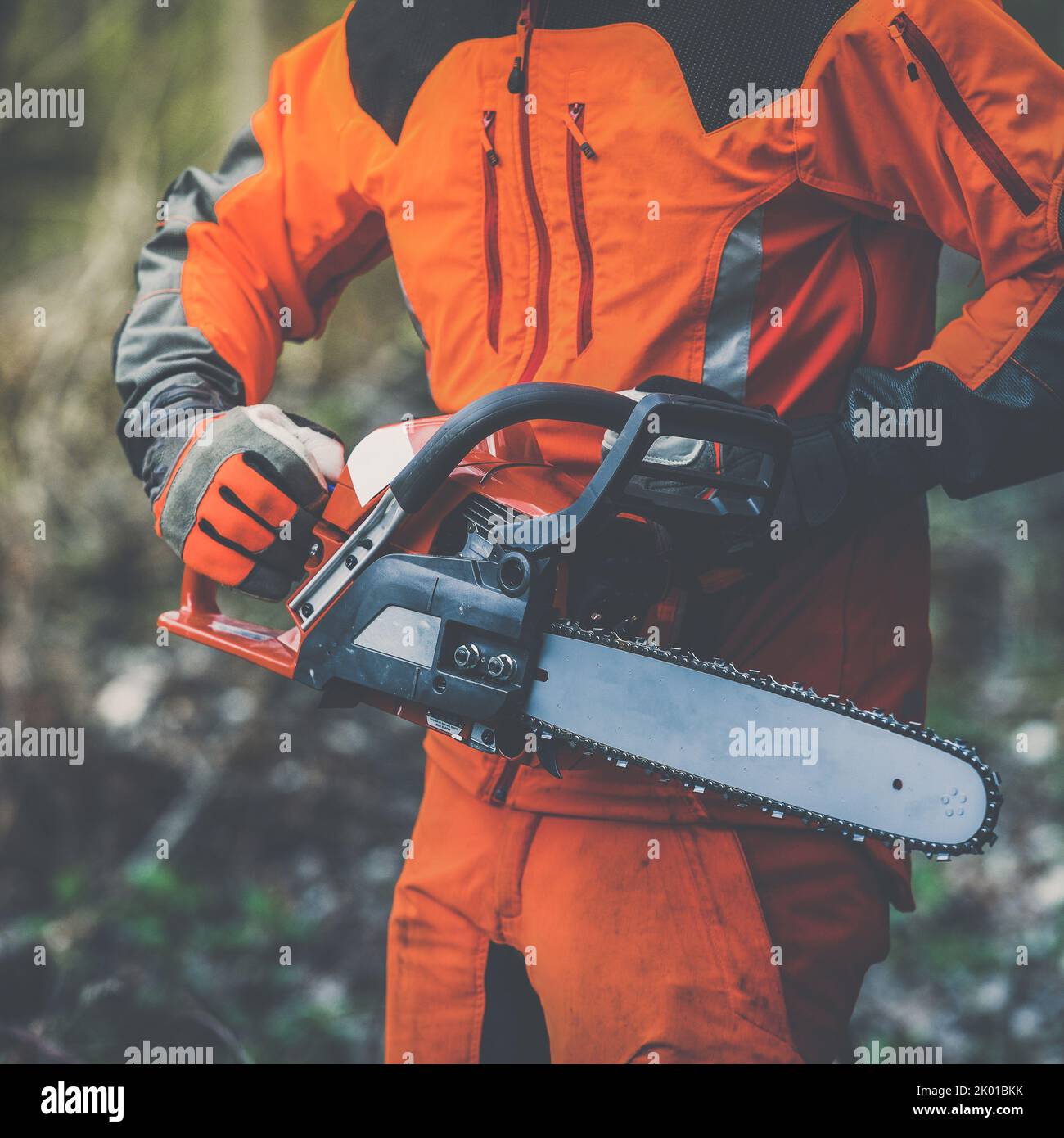 Forestry clearing saws hi-res stock photography and images - Alamy