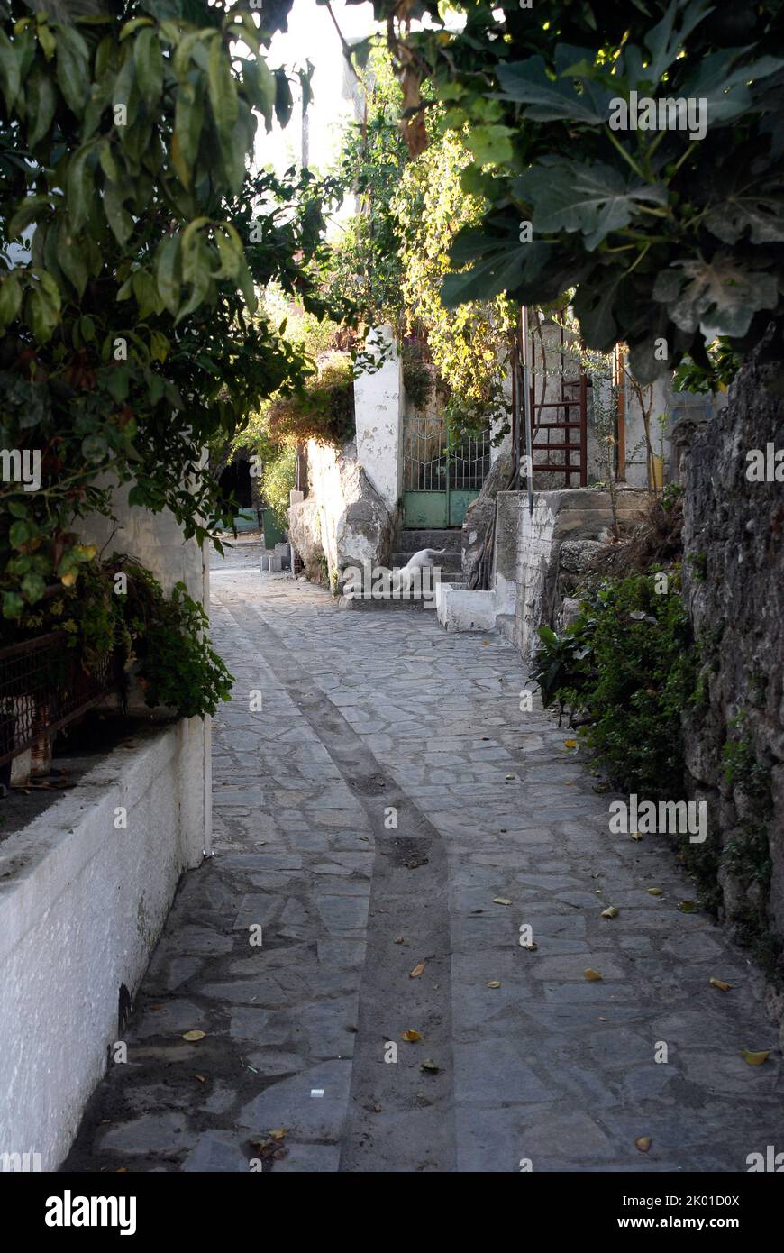 Psinthos village hi-res stock photography and images - Alamy